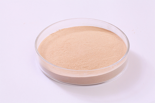 Study on the Application of Protease in Food Industry: bestzyme